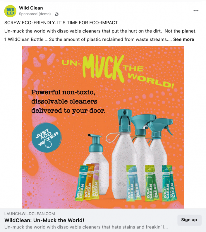 Psychographic Segmentation: Definition, Examples, and Variables