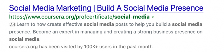 Paid Search Ads 101: The Benefits and Elements You Should Know