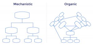 The 3 Most Common Advertising Agency Hierarchies