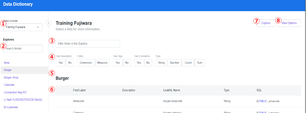 Looker Data Dictionaryについて｜テクニカルブログ｜日本情報通信株式会社