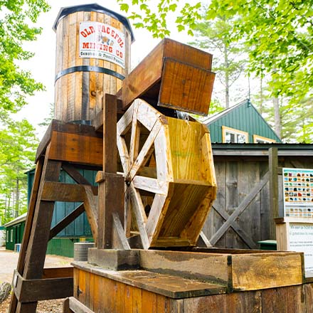 Yogi Bear’s Jellystone Park™: Lakes Region in Milton, NH | Attractions