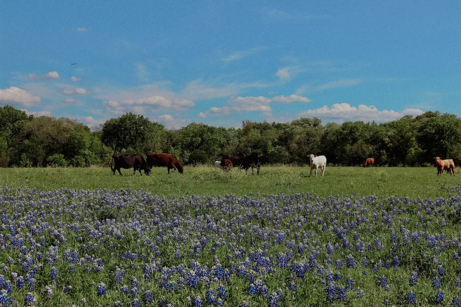 Camp Fimfo Camp Fimfo | Outside Awaits