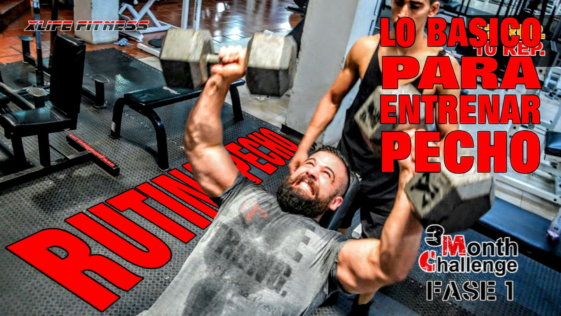 Rutina de pecho - Lo BASICO para un PRINCIPIANTE