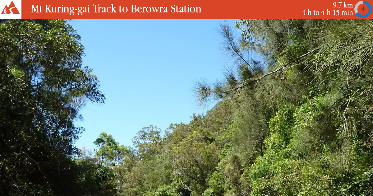 Mt Kuring-gai Track to Berowra Station