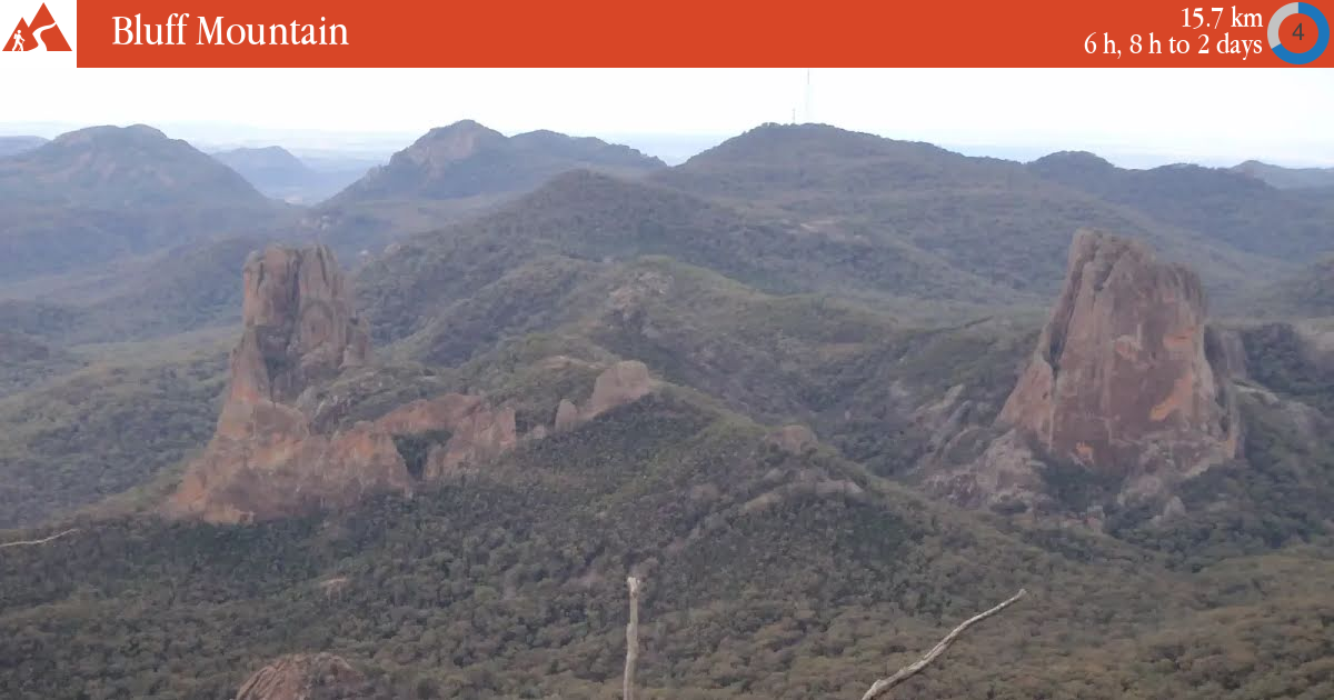 Bluff Mountain