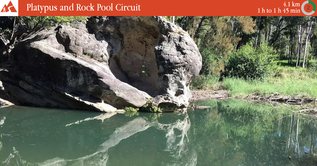 Platypus and Rock Pool Circuit