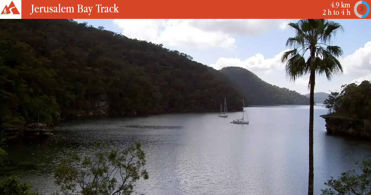Jerusalem Bay Track