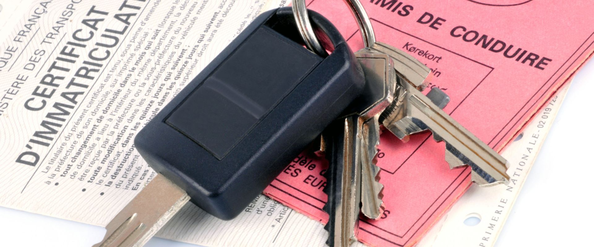 Quels métiers qui recrutent grâce au permis D1