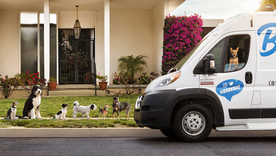 Why We Acquired Barkbus | Wilbur Labs