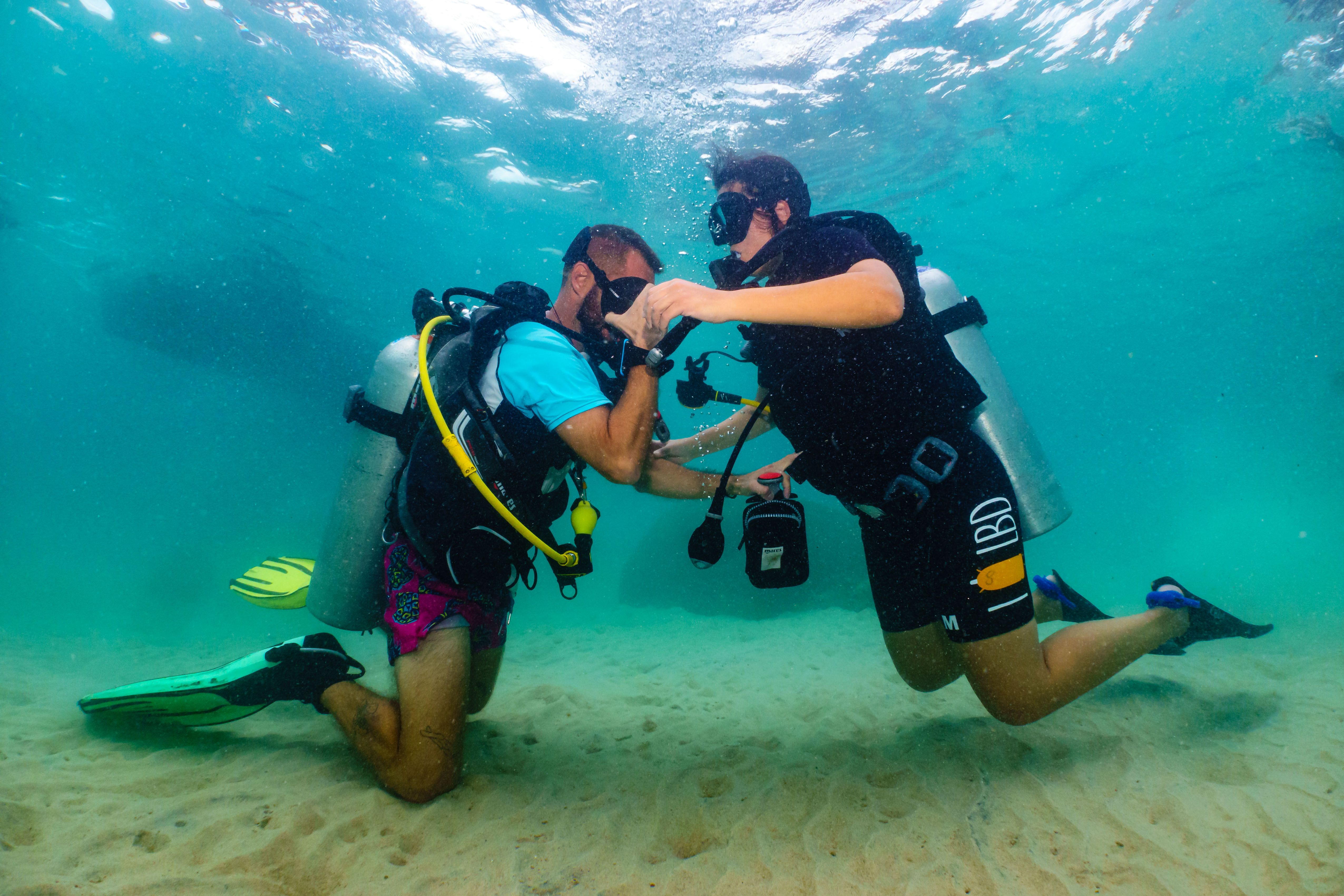 Best Diving Koh Tao - A Guide For Different Levels - La Bombona Diving ...