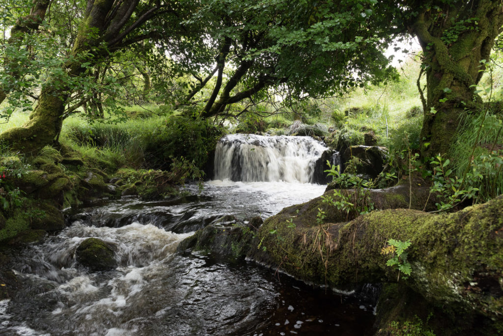 Waterfall, County Kerry, Ireland - Stanton Champion