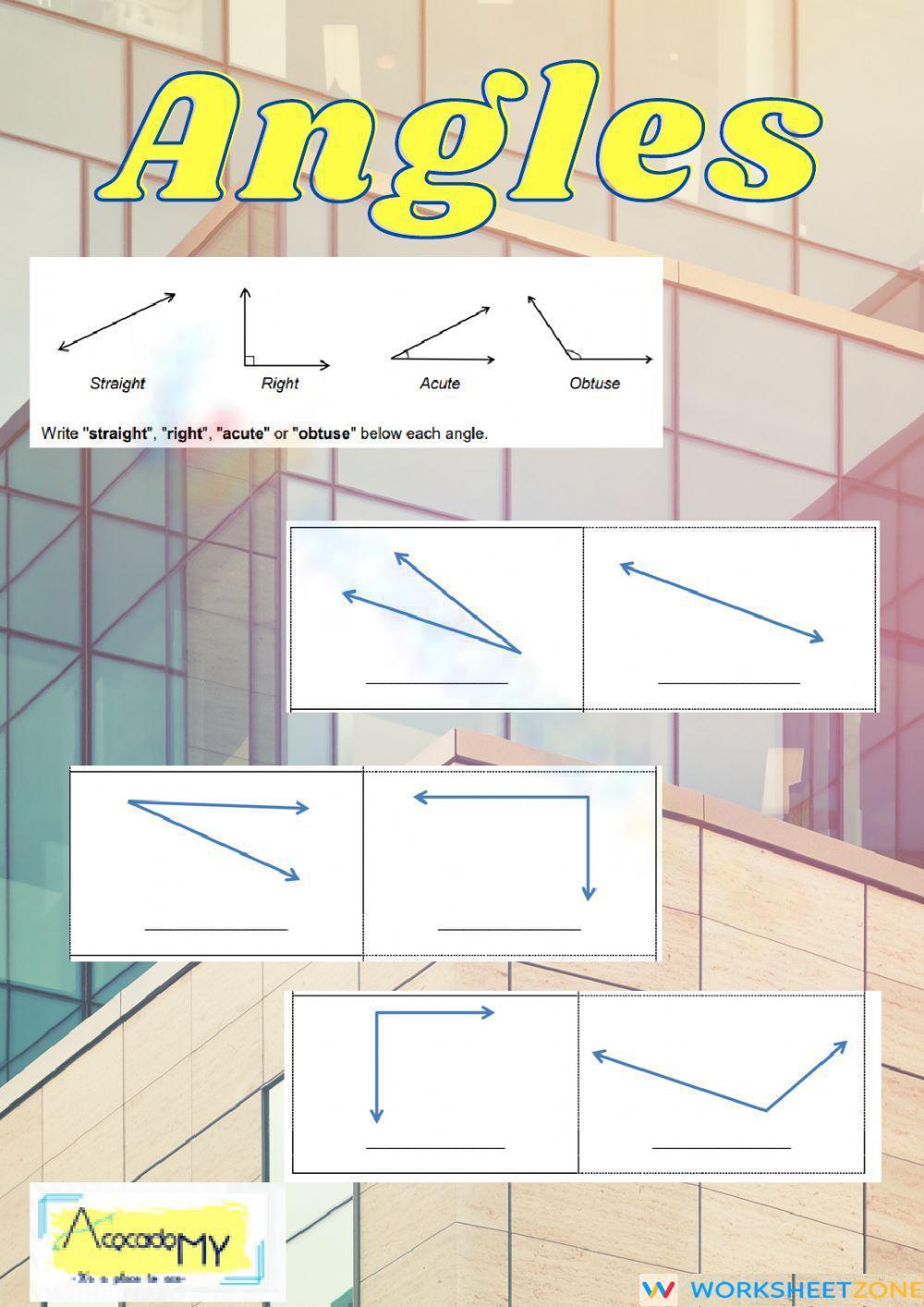 Angles Worksheet