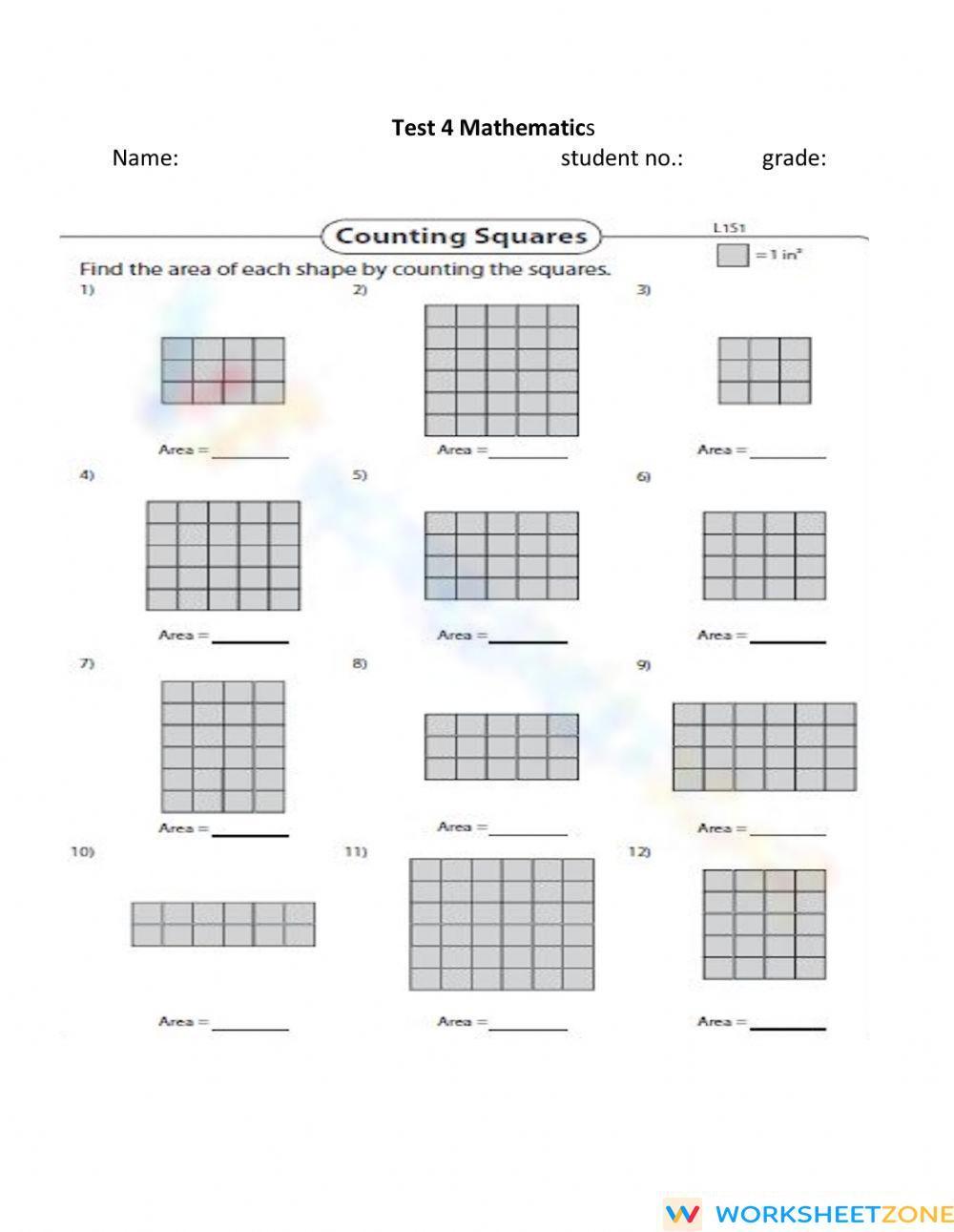 Counting The Squares Worksheet