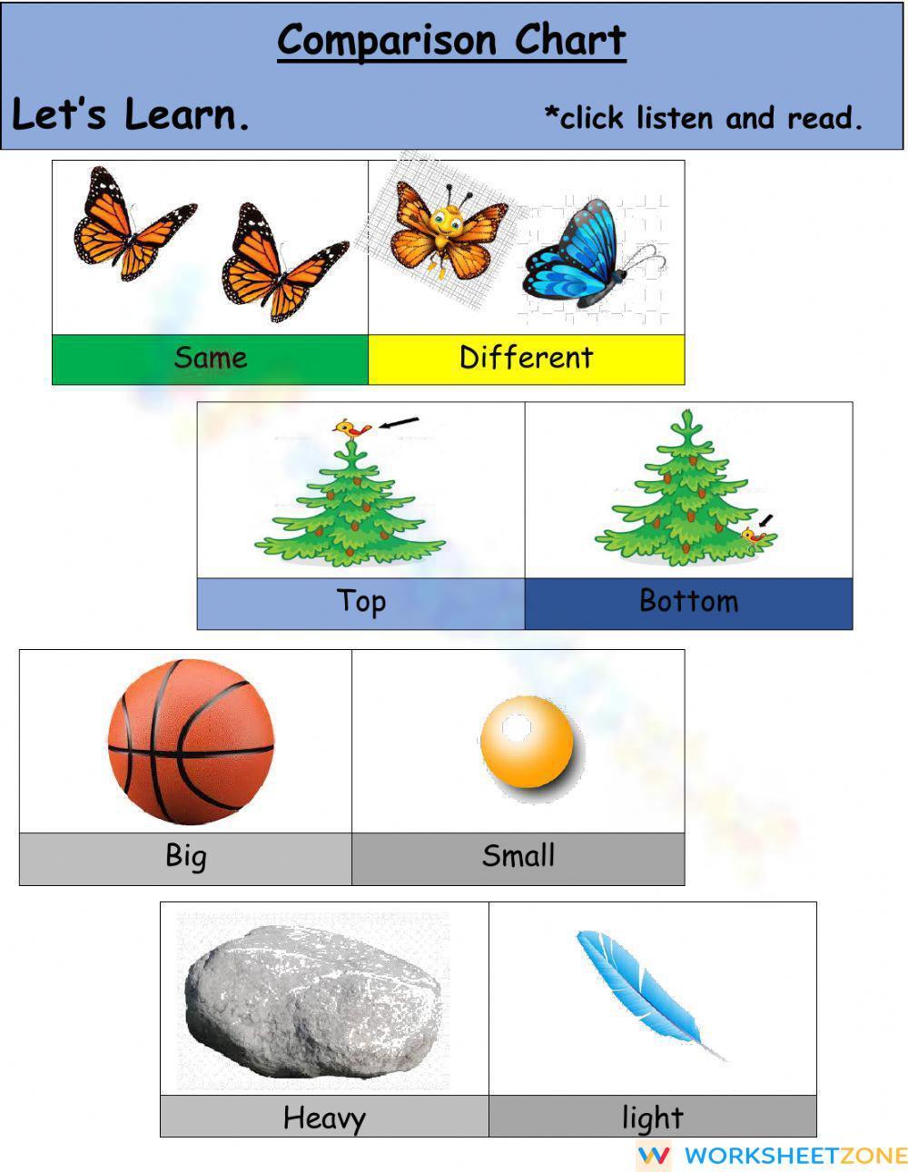 Comparison Quantities Worksheet