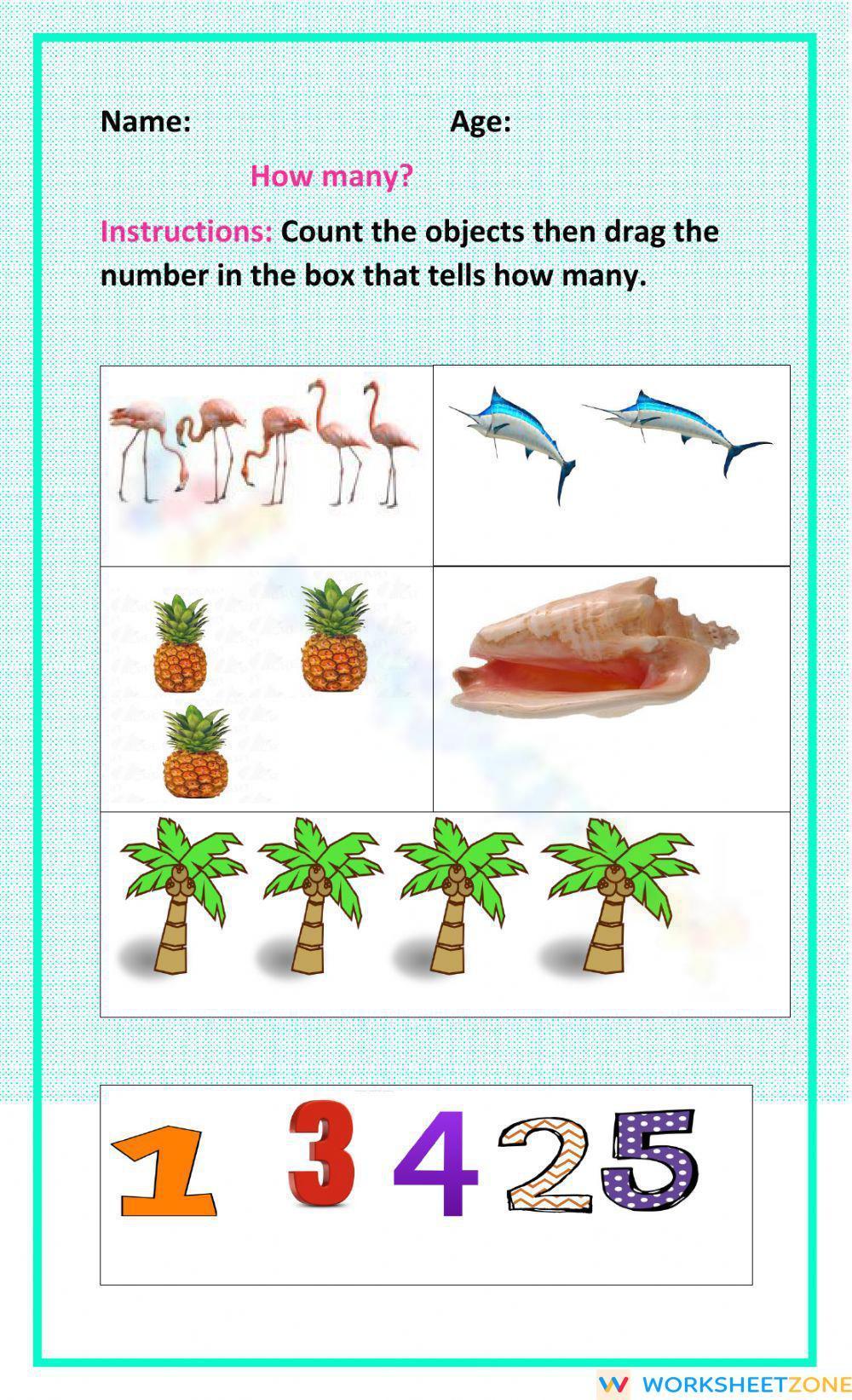 How Many? Worksheet