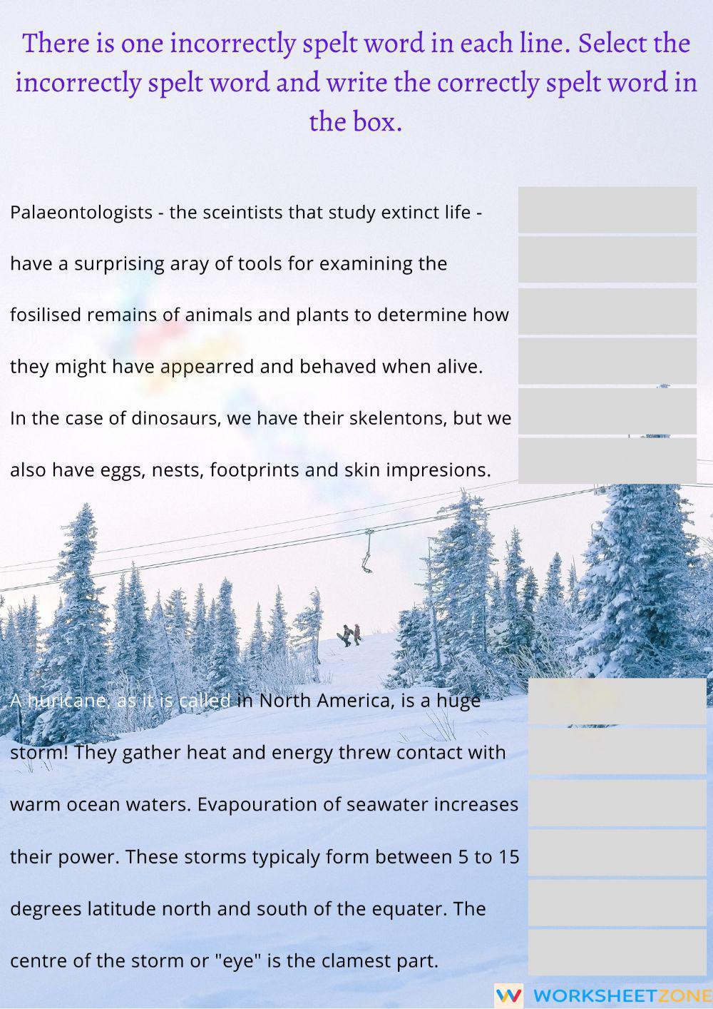 Spelling Errors Worksheet Spelling Errors Worksheet