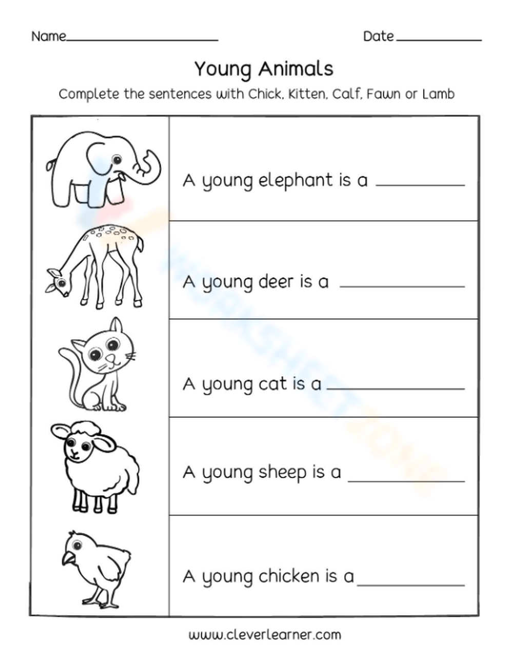 Young Animals 2 Worksheet