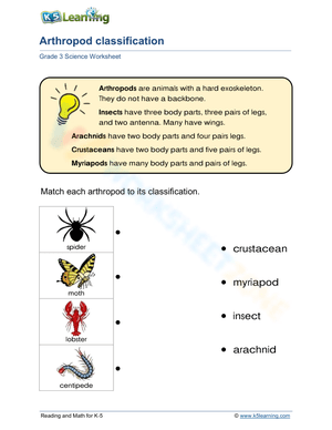 Arthropod Classification and Matching Activity Worksheets