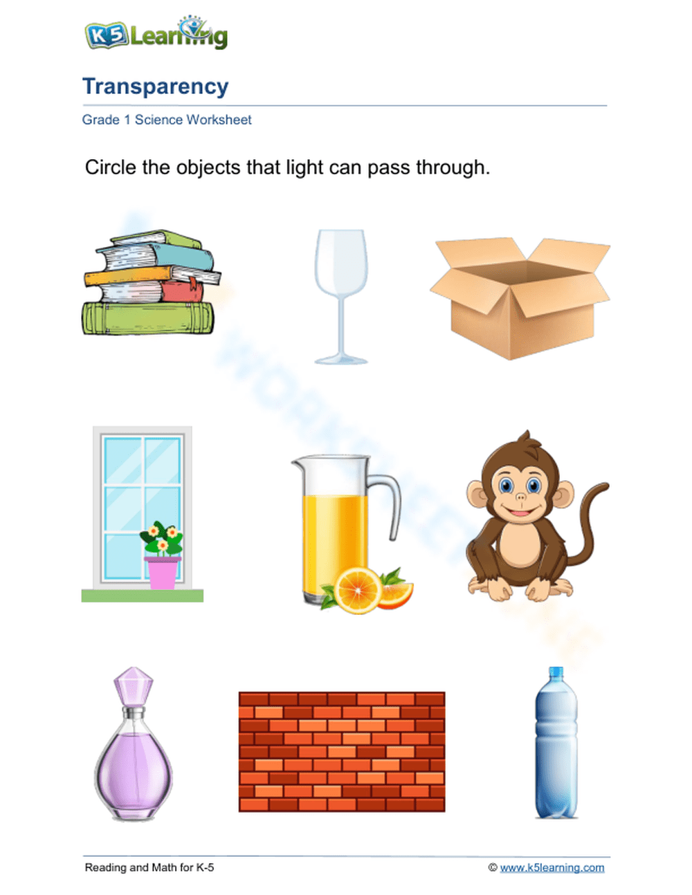 Transparency Worksheet