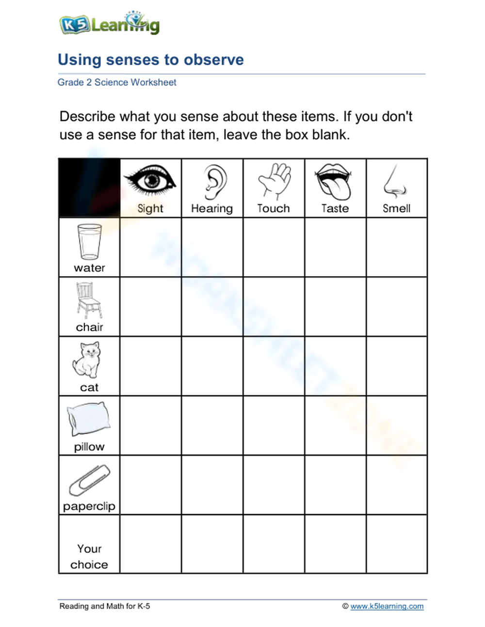 Using Senses To Observe Worksheet