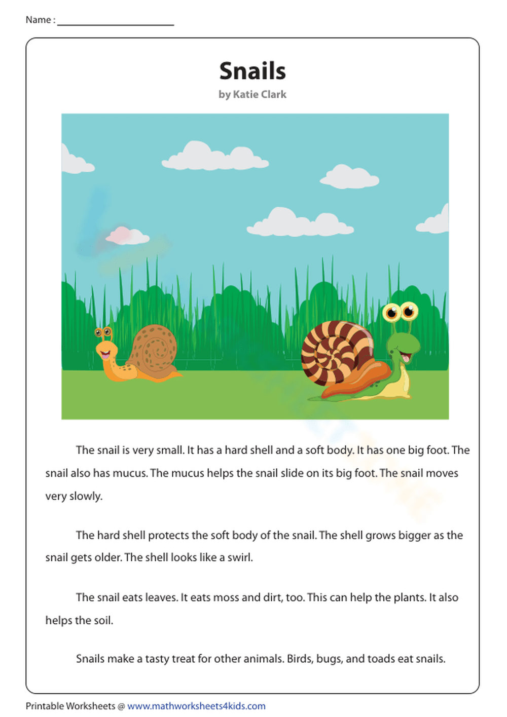 Snails Worksheet