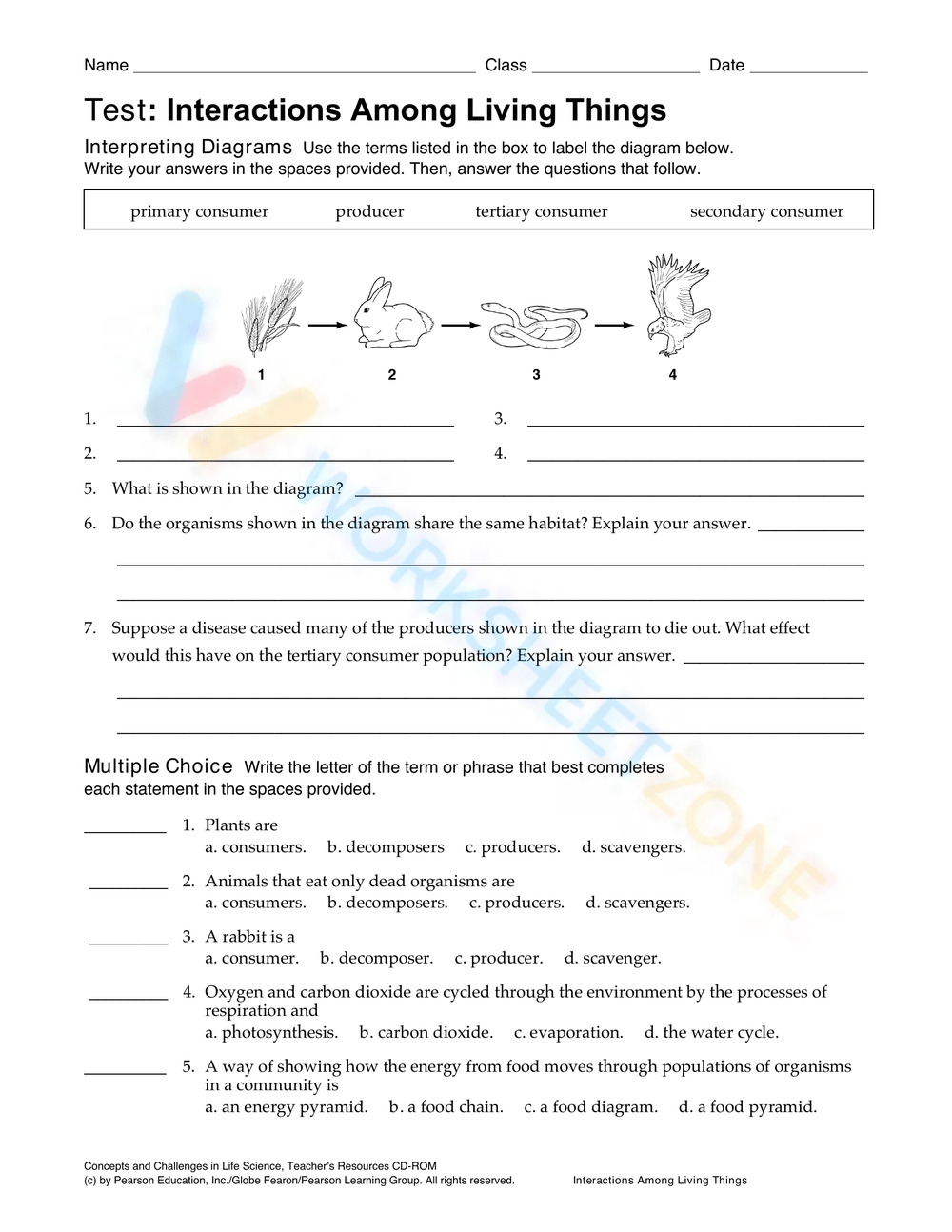 Living And Non Living Interactions Science Quiz Quizi