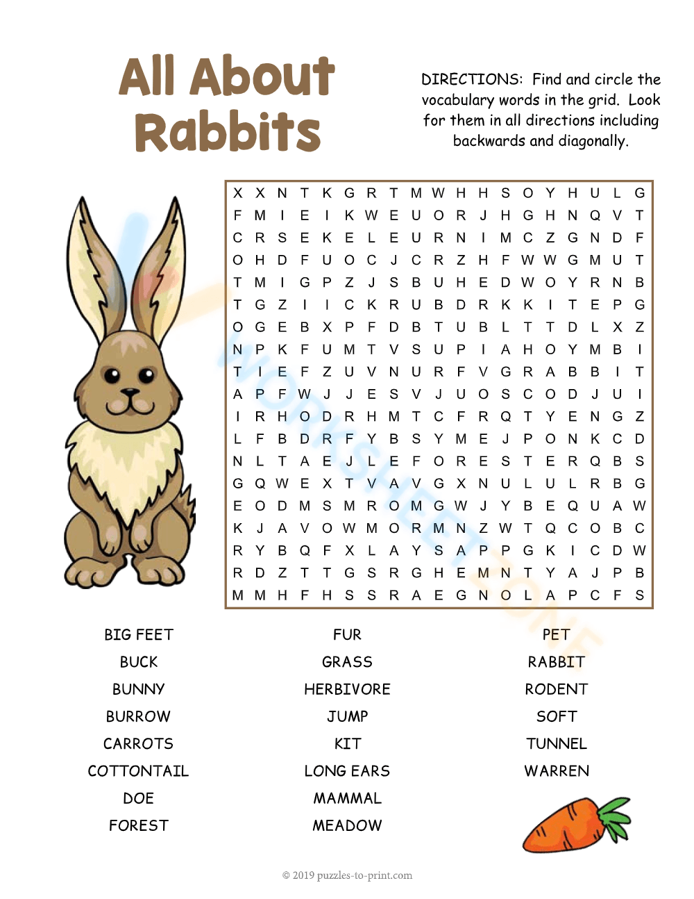 Rabbits Worksheet Rabbits Worksheet