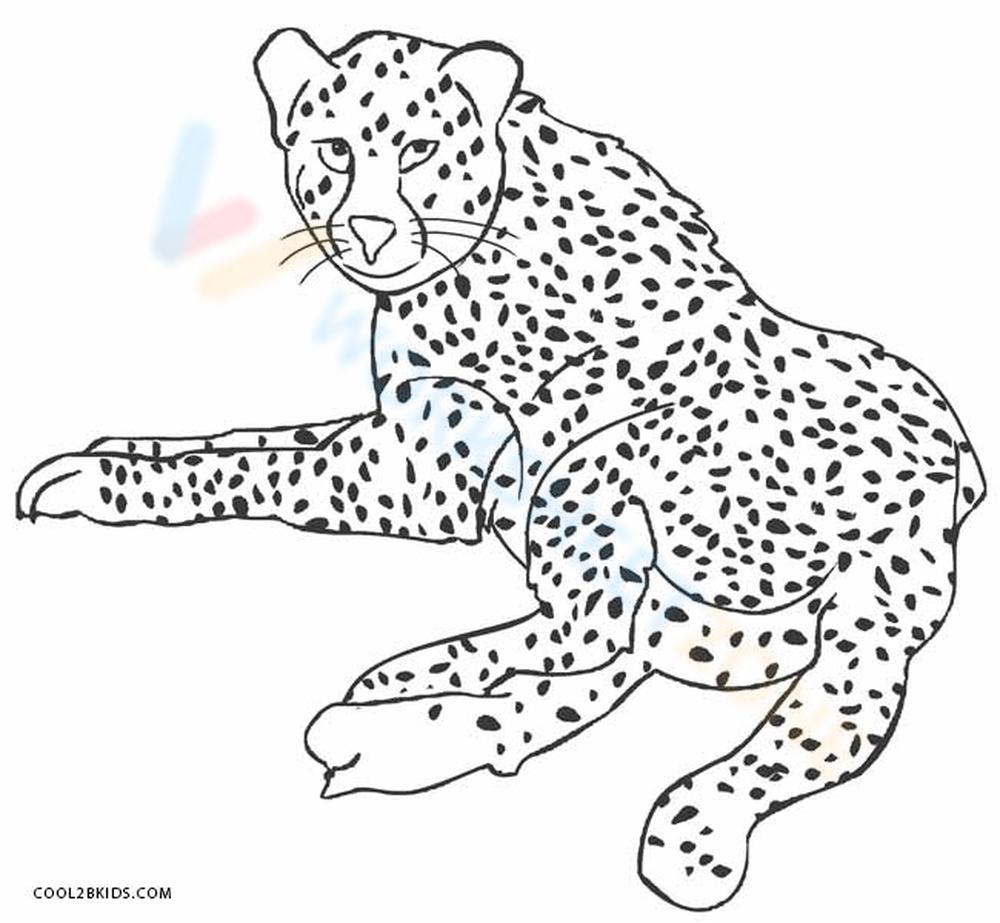 Lying Cheetah Worksheet