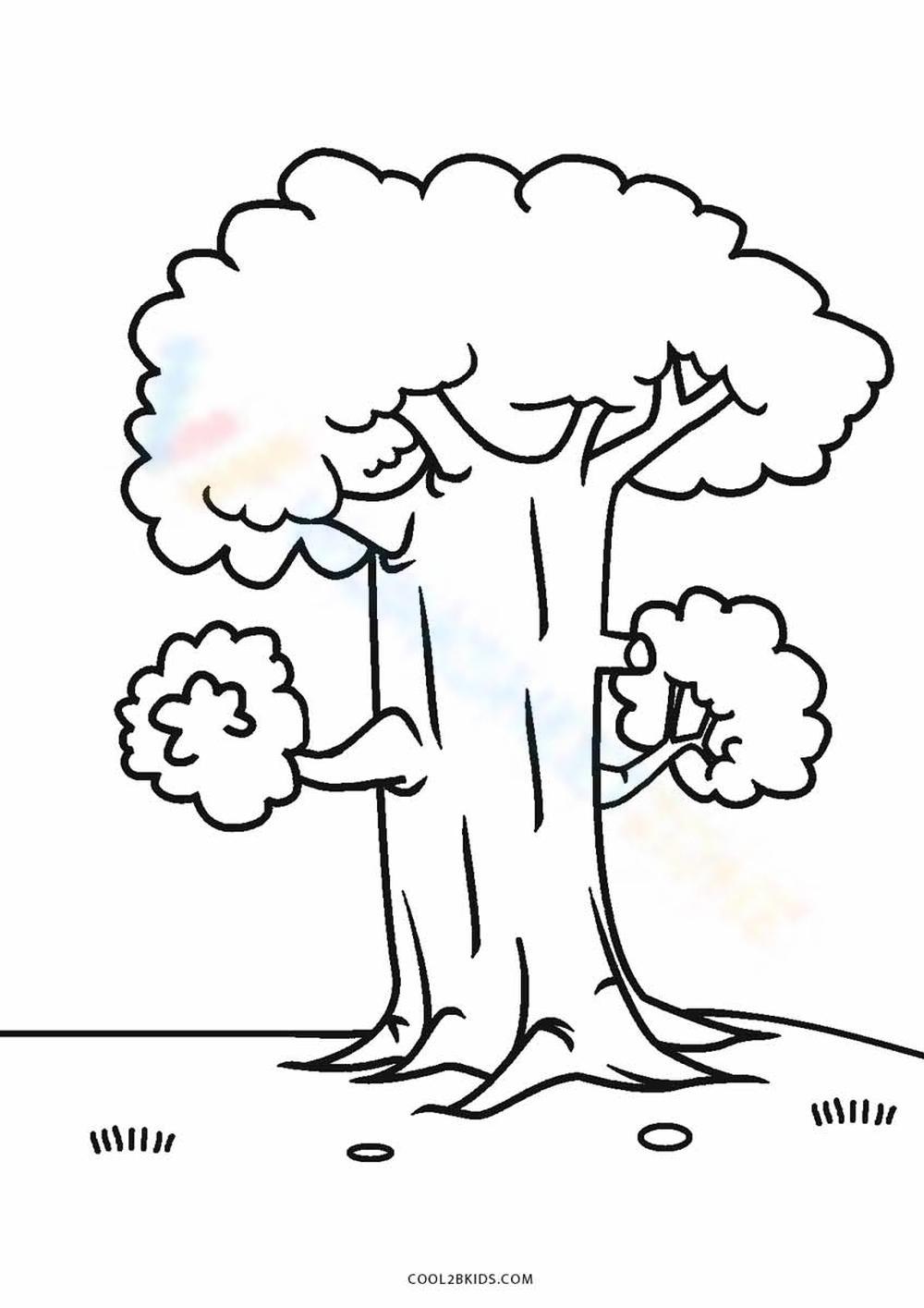 A Big Tree Worksheet