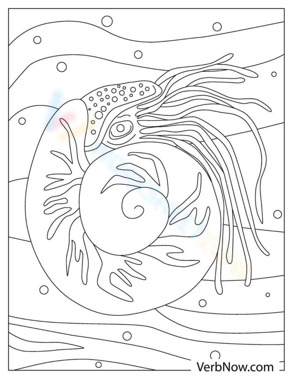 Live Of The Ocean Worksheet