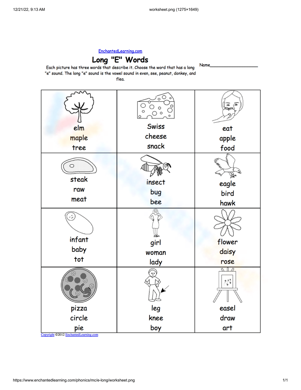 Long "e" Vowels Worksheet