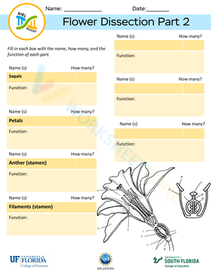 Flower Dissection worksheets