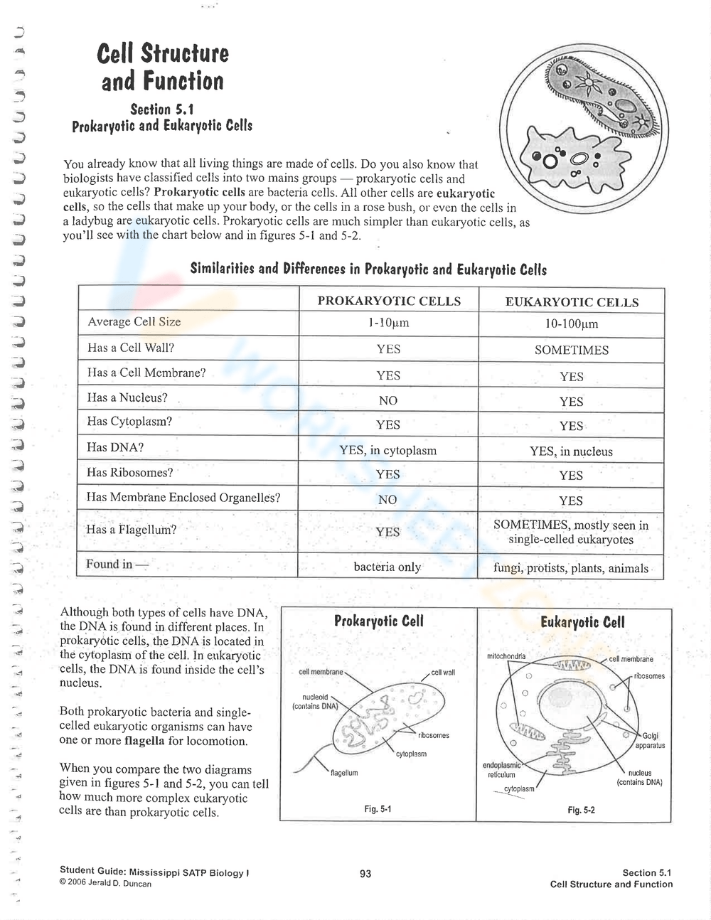 Eukaryotic Cell Structure Worksheet