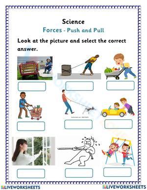 Push And Pulls worksheets