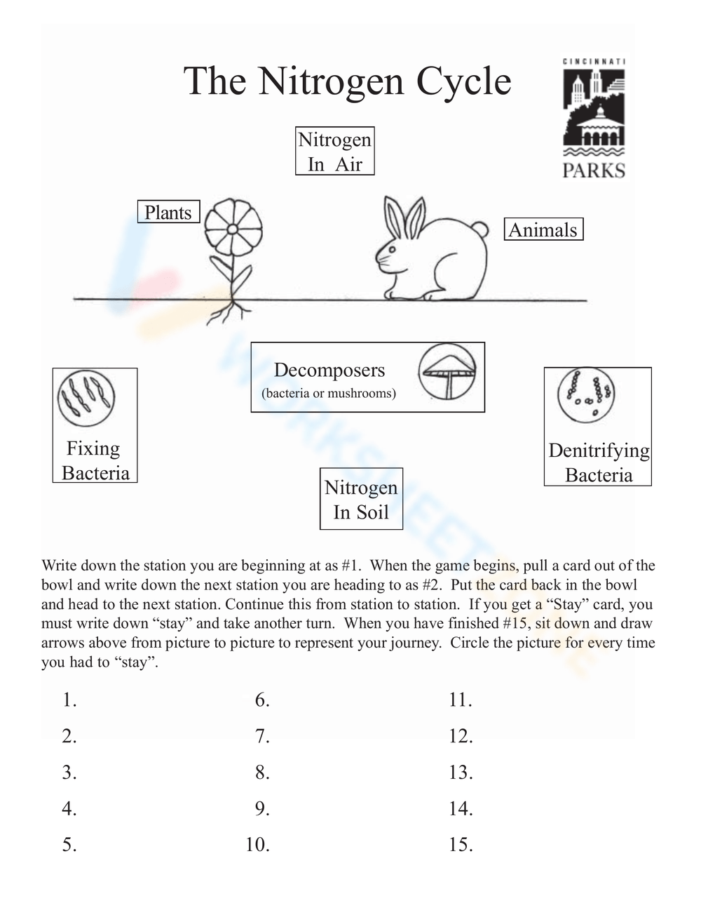Blank Nitrogen Cycle Worksheet Blank Nitrogen Cycle Worksheet