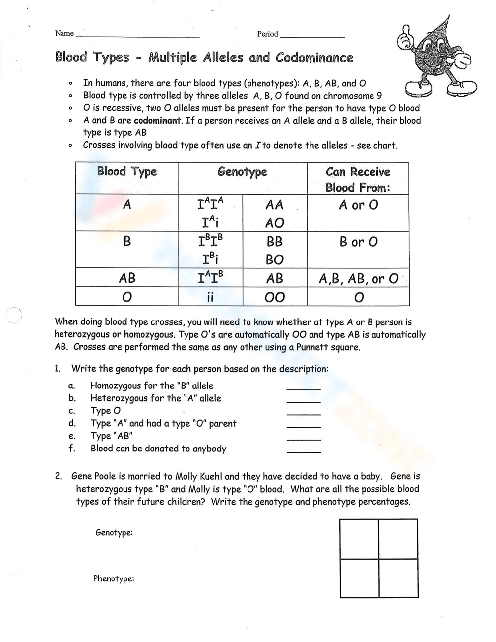 Codominance And Multiple Alleles Worksheet Blood Types Codominance