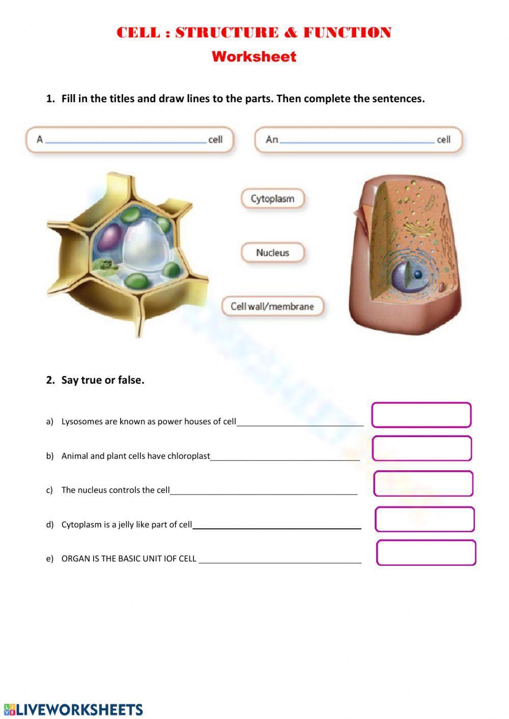 Free Cell Structure And Function Worksheet Collection Free Cell Structure And Function Worksheet Collection