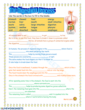 Free Printable Digestive Systems Worksheets for Students