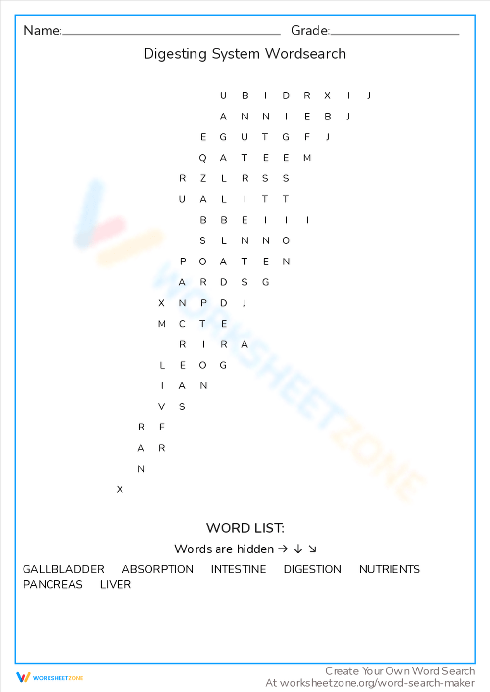 Digestive System Word Search