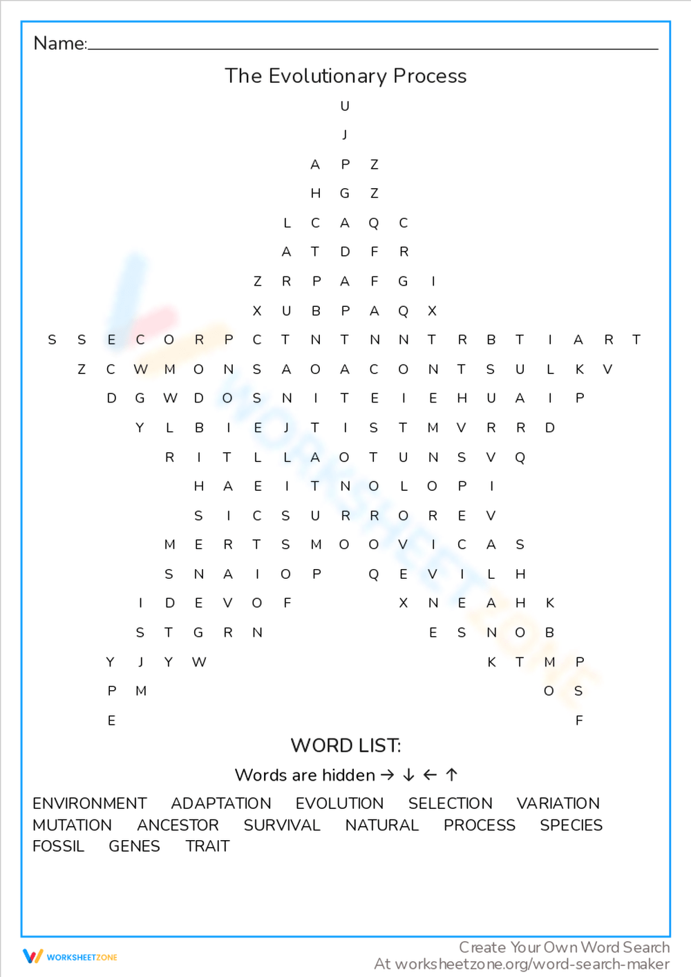 The Evolutionary Process Worksheet