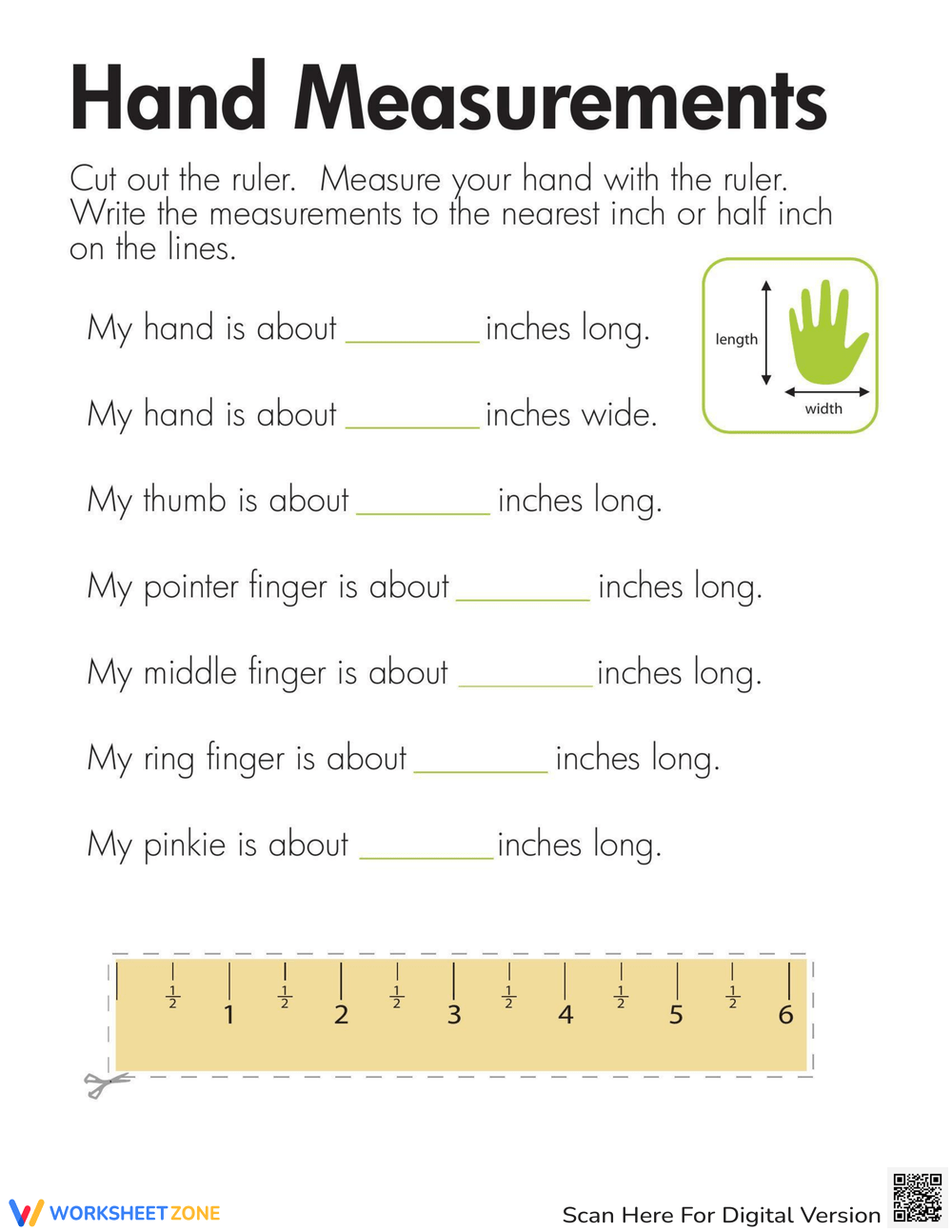 Measurement Tools Worksheet Kindergarten