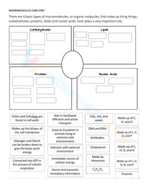 Macromolecules Graphic Organizer