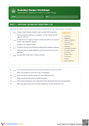 Evolution Review: Comprehensive Worksheet
