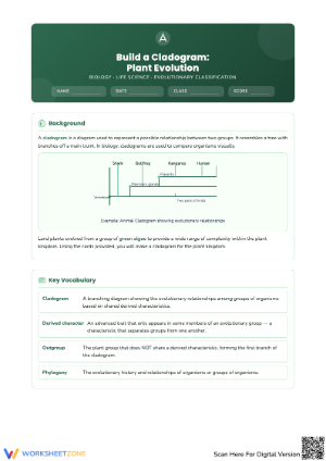Build a Cladogram: Plant Evolution Worksheet