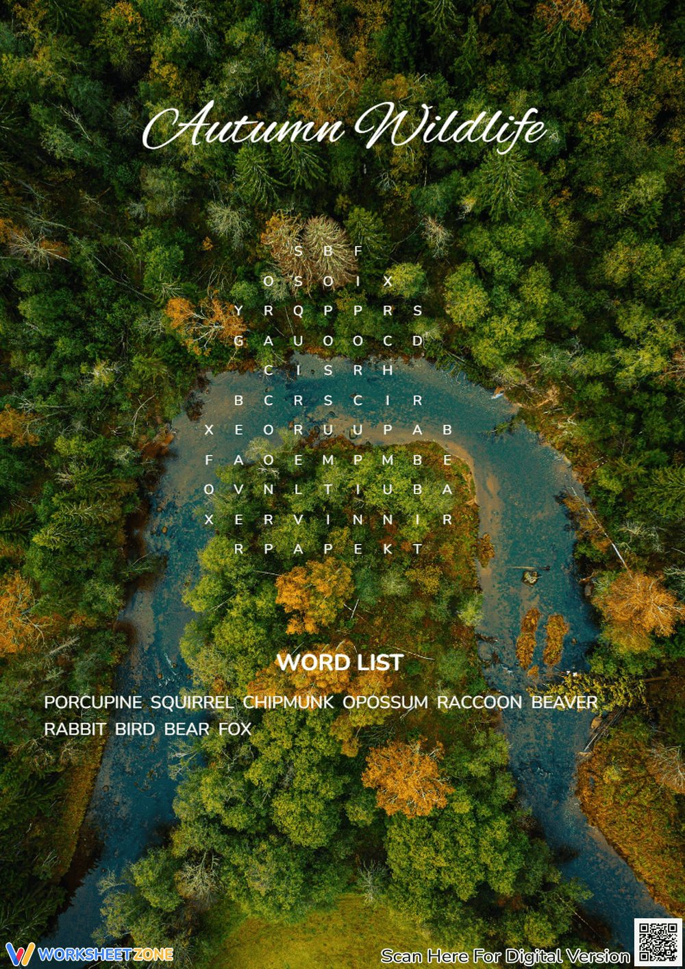 Autumn Wildlife Worksheet