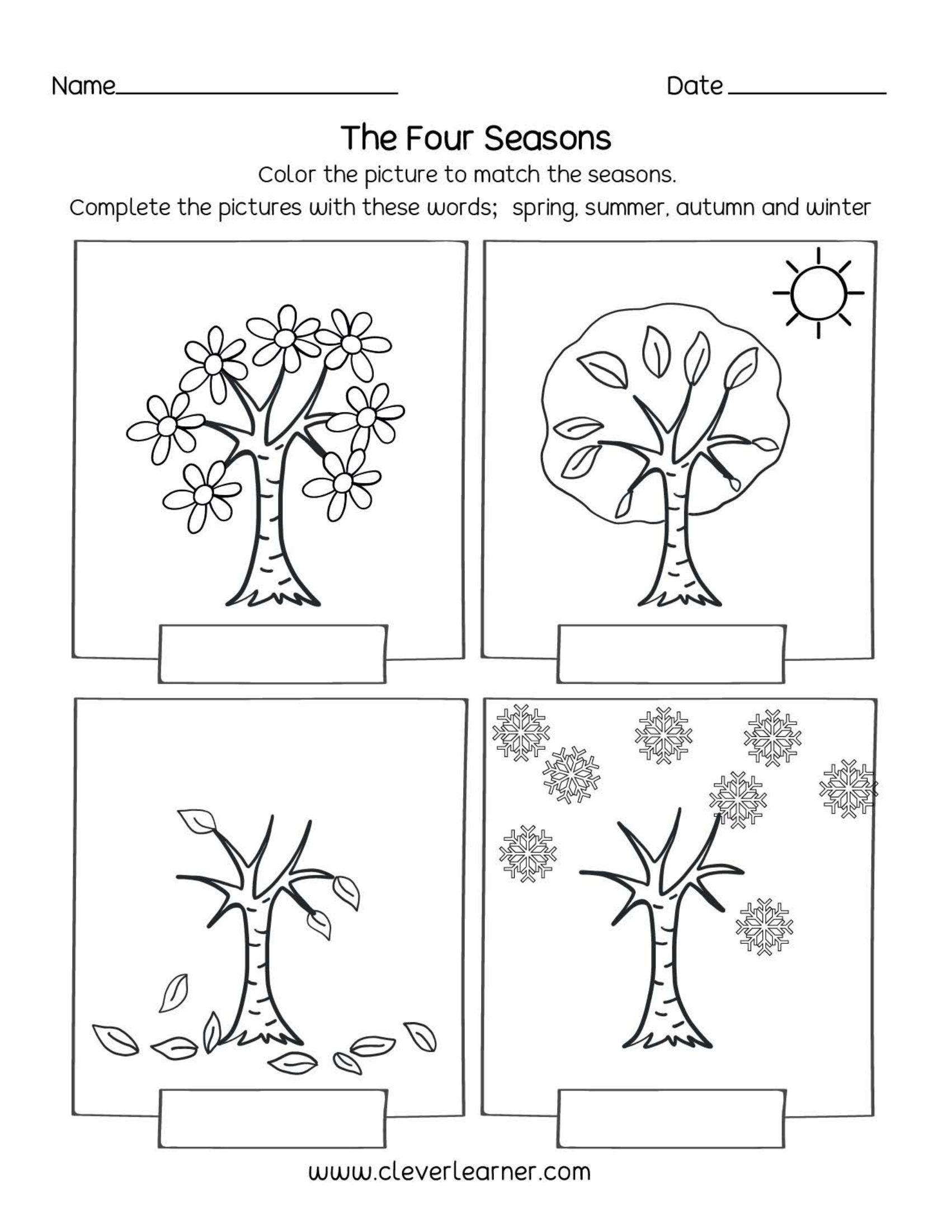 How trees looks like in four seasons? | Worksheet Zone