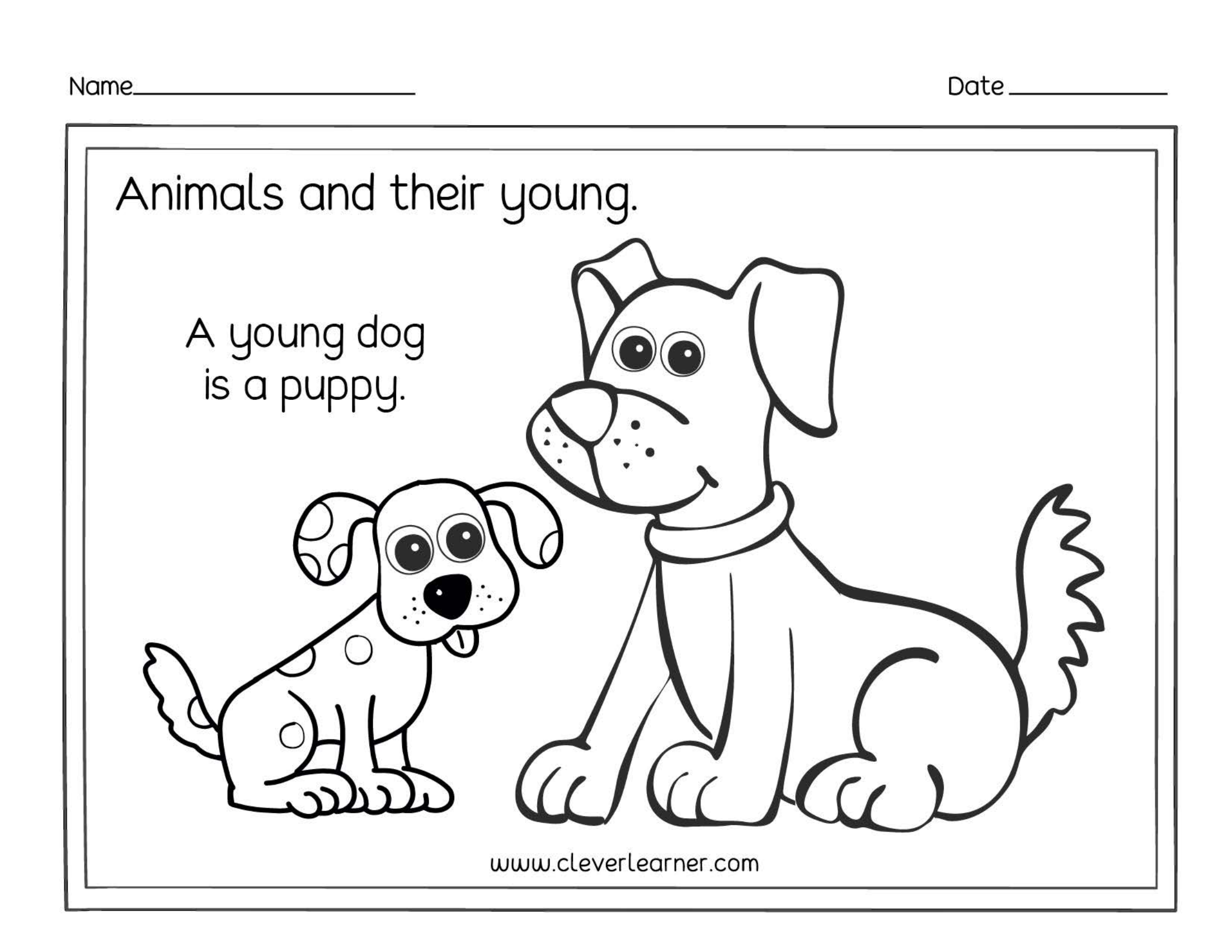 Young dog - Puppy | Worksheet Zone