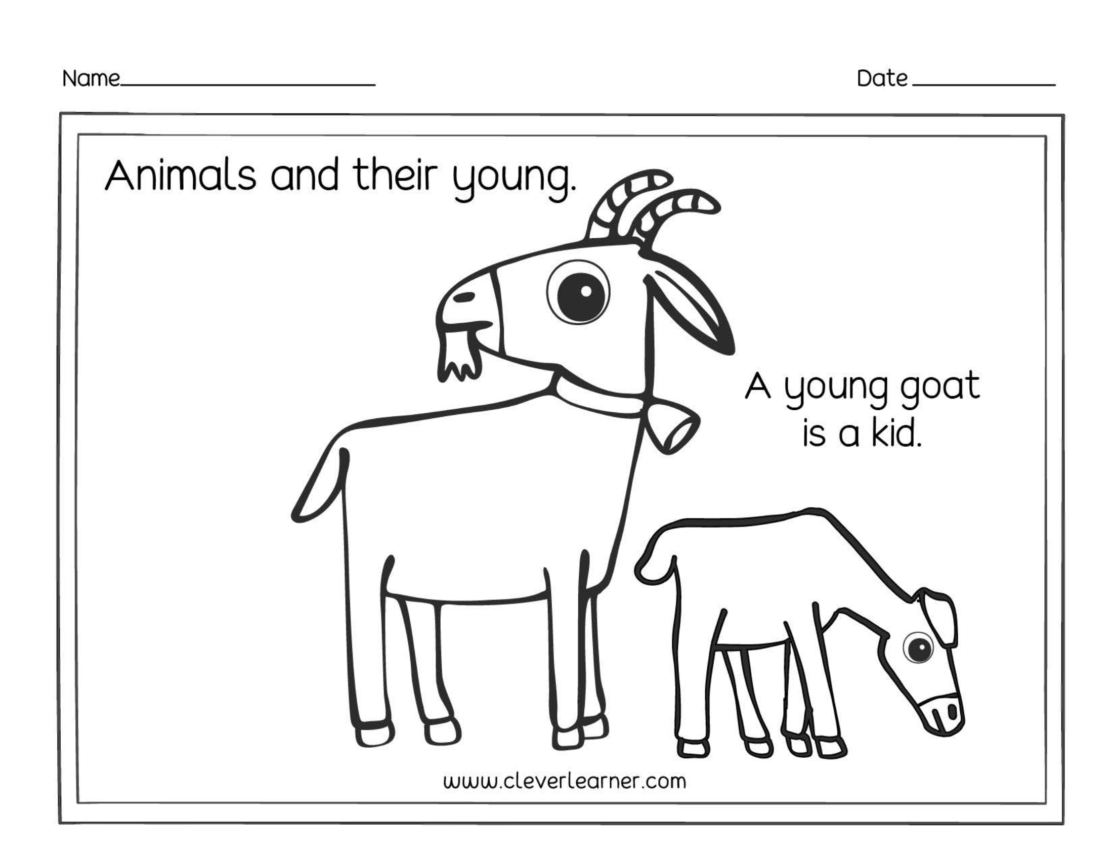 Young goat - Kid | Worksheet Zone