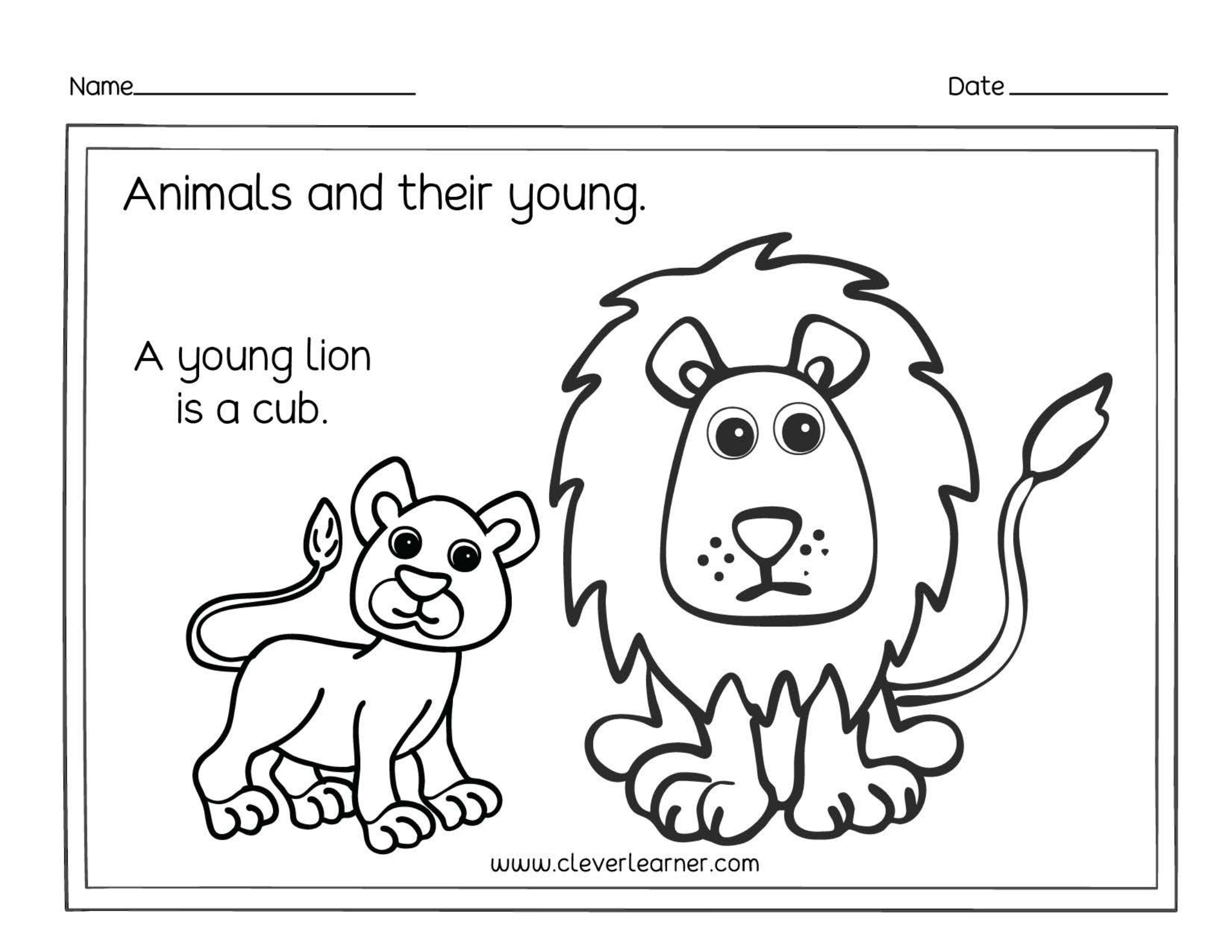 Young lion - Cub | Worksheet Zone