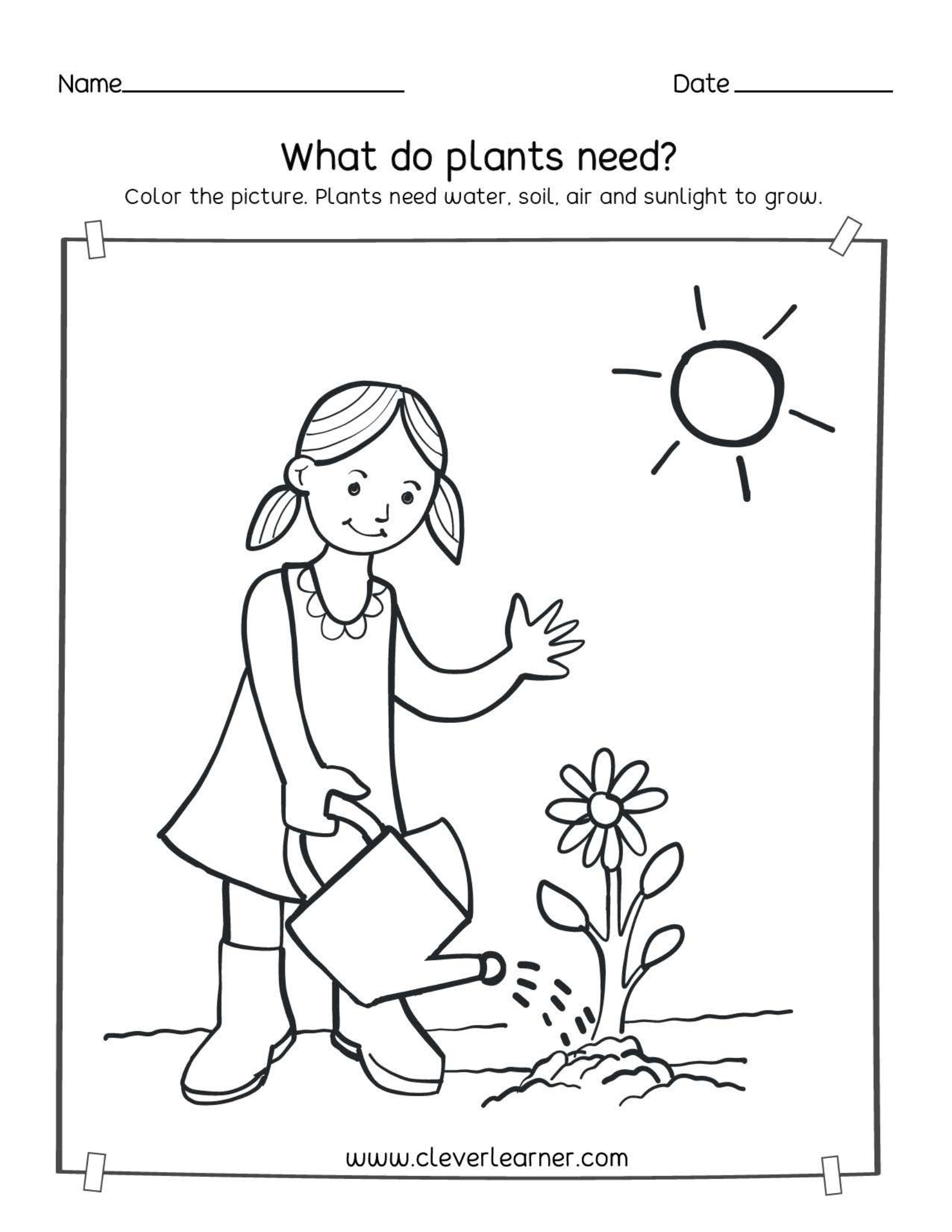 Plants Need Sunlight Page Coloring Pages Sketch Coloring Page
